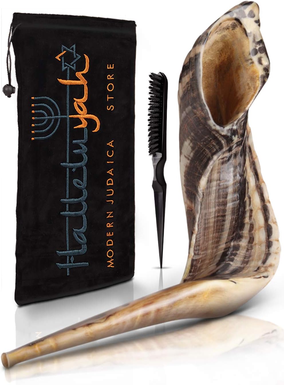 Amazon.com: Traditional Shofar from Israel, Jewish Natural Musical ...