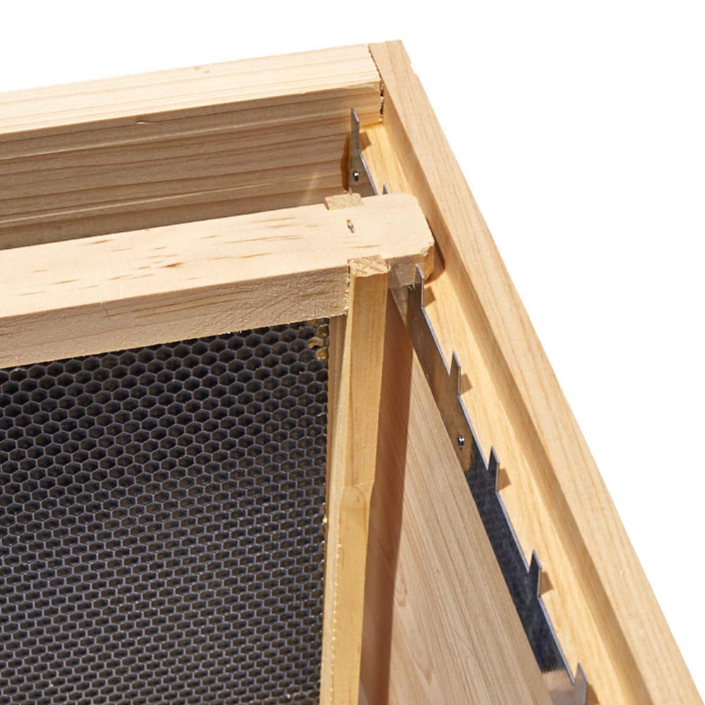 20 Pack - Metal, Ten Frame Steel Beekeeping Spacers for Spacing Bee ...