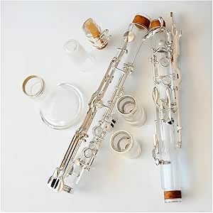 Amazon.com: Acrylic Body Silver Plated Keys Clarinet 18/20 Keys G Tone ...