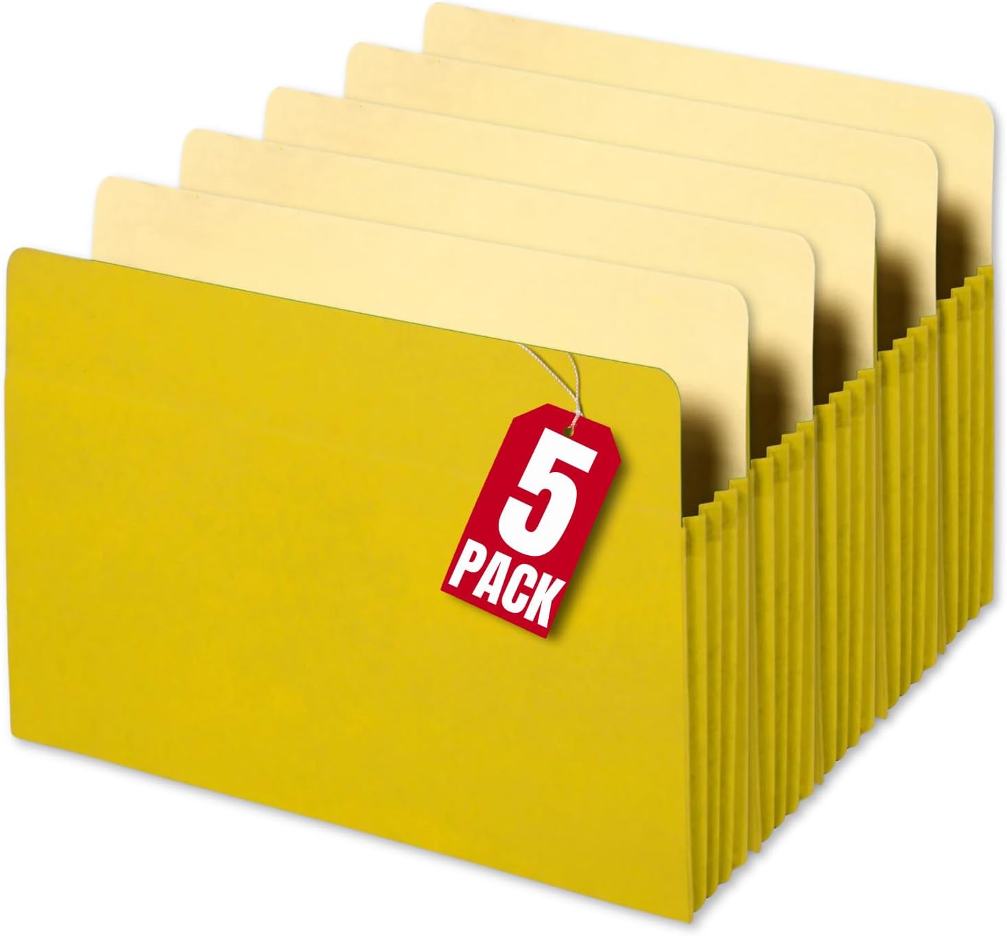 Amazon.com : 1InTheOffice File Jackets, File Jackets Letter Size, File ...