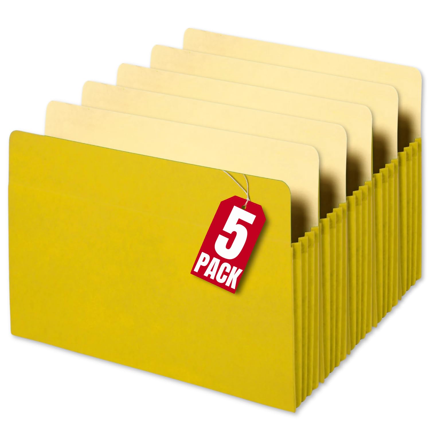 Amazon.com : 1InTheOffice File Jackets, File Jackets Letter Size, File ...