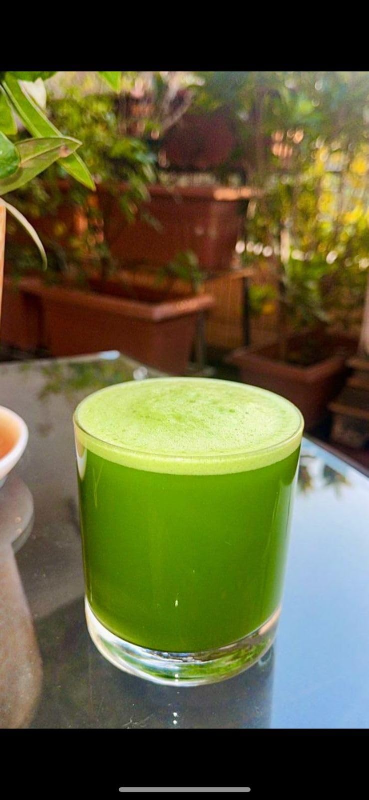 Meditating Monkey Matcha | 100% Pure Japanese Ceremonial Grade Matcha ...