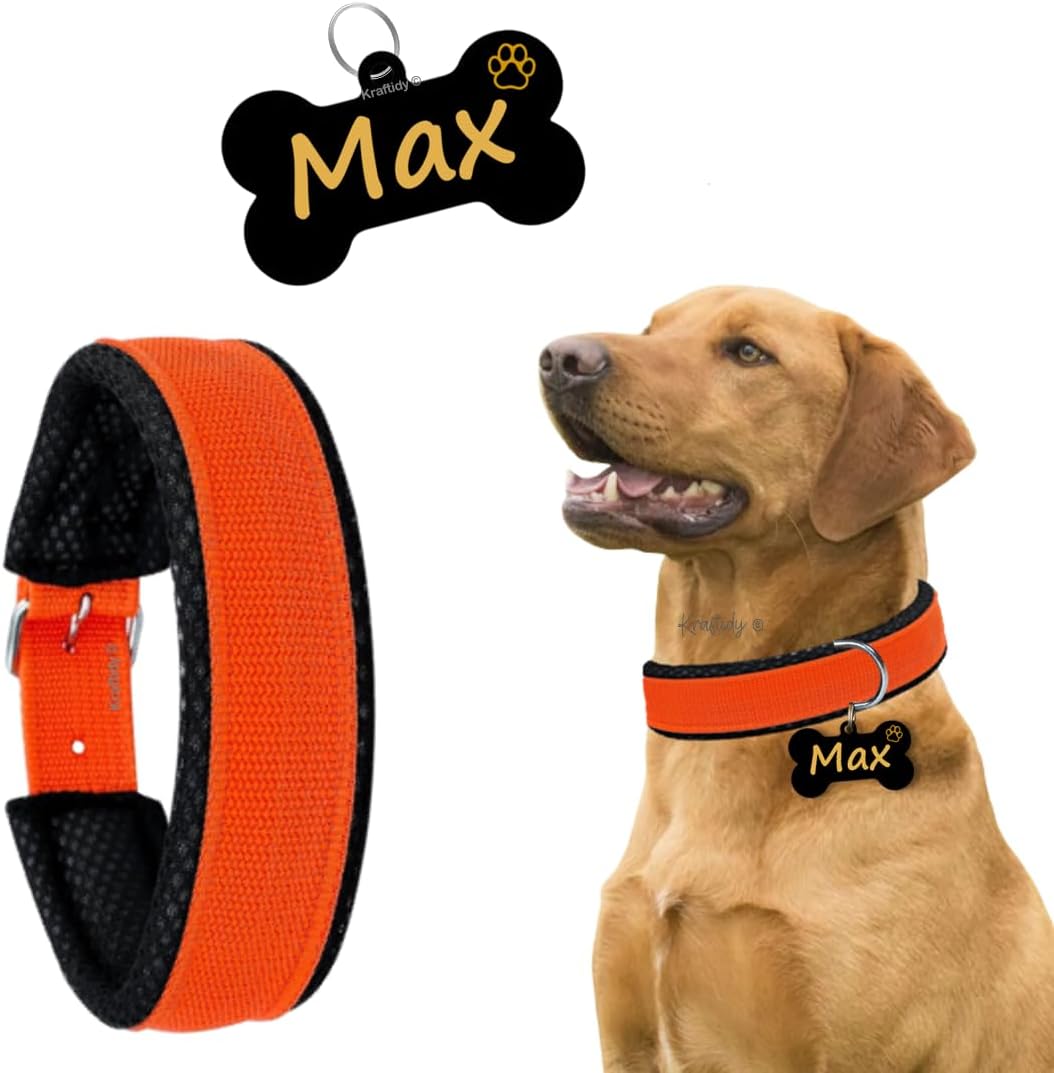 Buy Kraftidy Dog Collar Belt with Name tag id Customized for Small ...