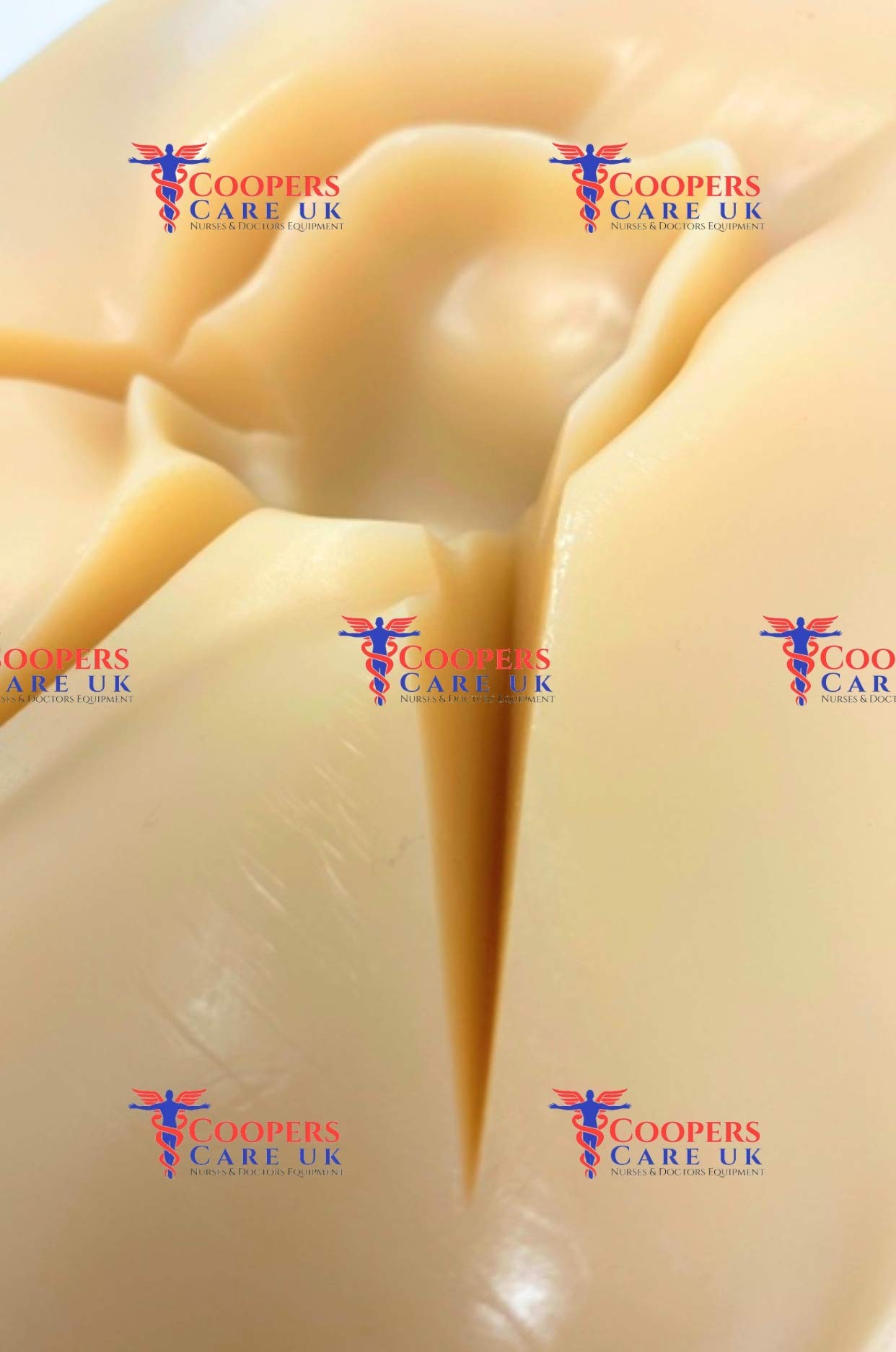 Midwifery Triple Incision Episiotomy Suture Training Model Kit Suturing ...