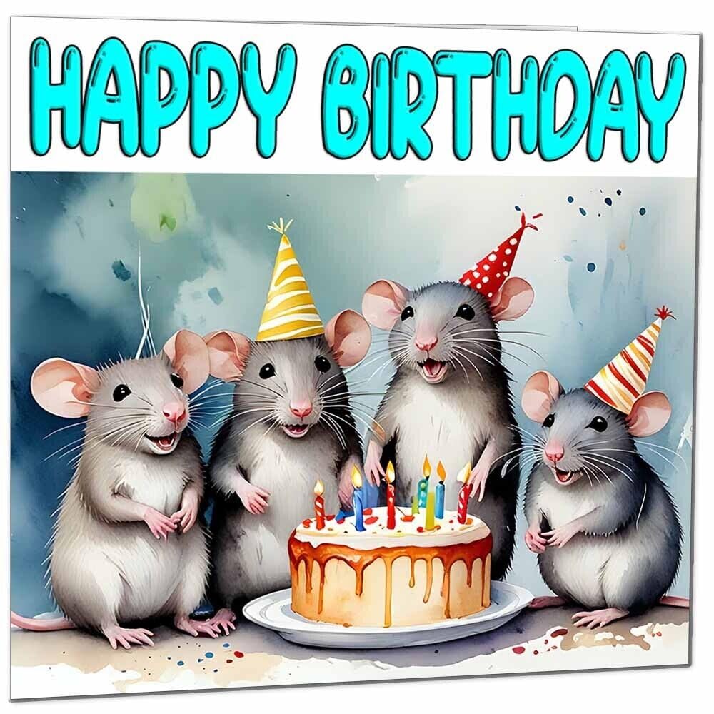Rat Birthday Card - Fun Rats Bday Card - 145 x 145mm : Amazon.co.uk ...