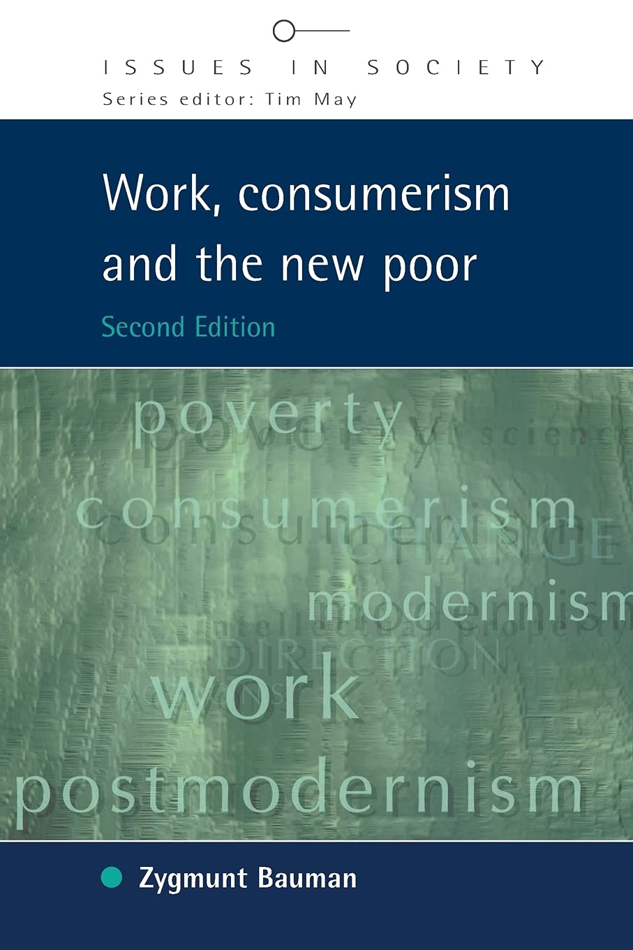 Amazon | Work, Consumerism and the New Poor (Issues in Society ...