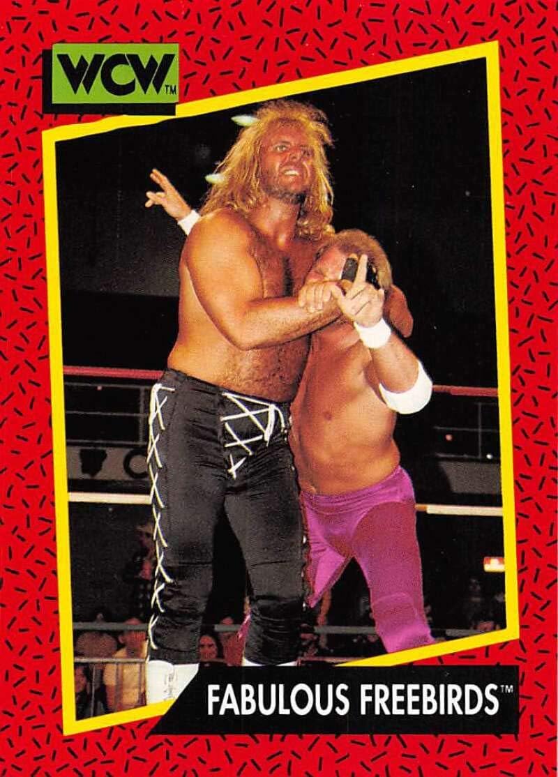 Amazon.com: 1991 Impel WCW Wrestling #123 Fabulous Freebirds Official ...