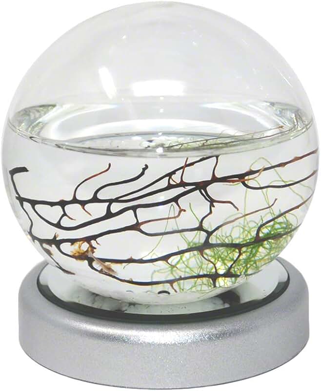 Amazon.com: ecosphere