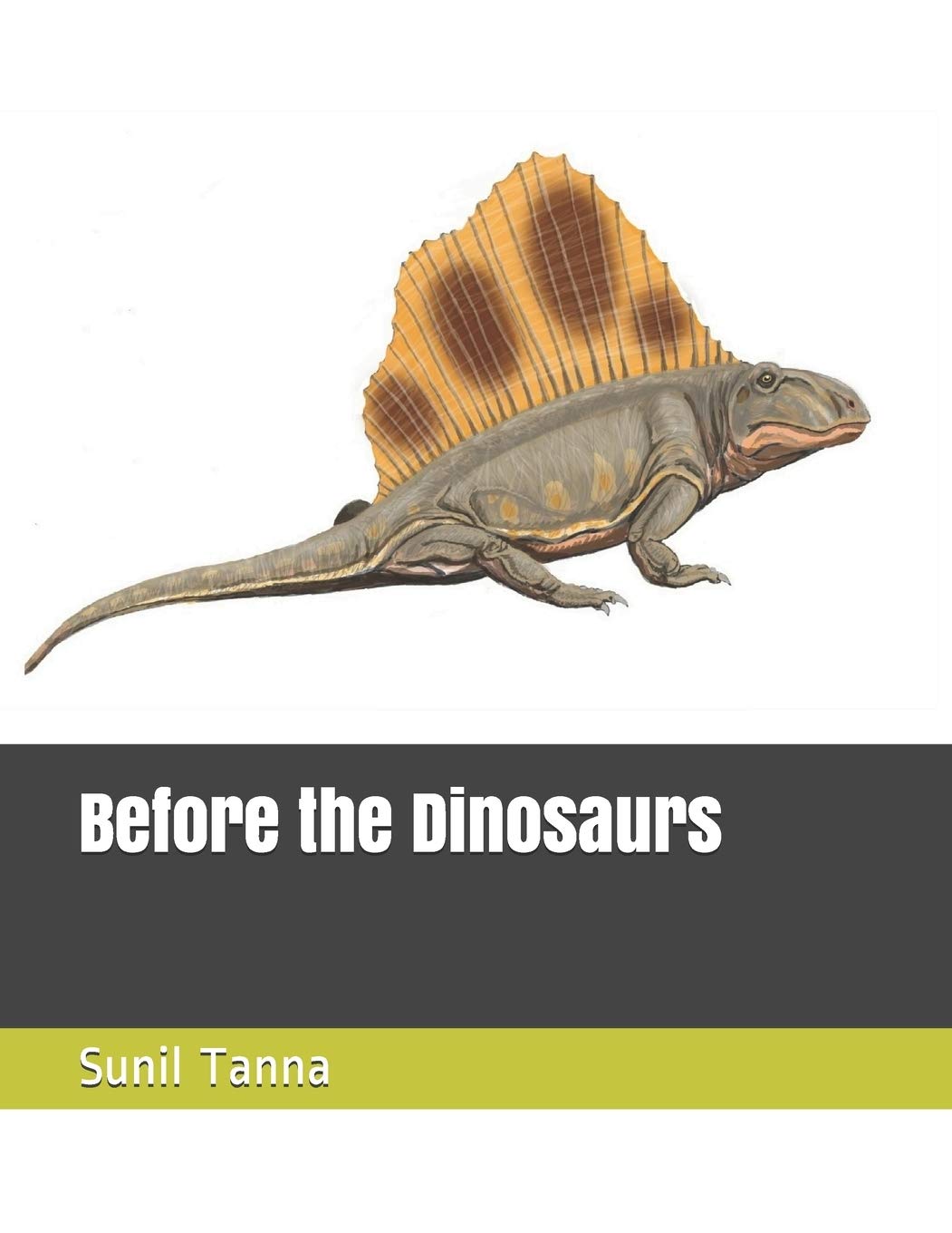 Before the Dinosaurs (The History of Life): Tanna, Sunil: 9781070879192 ...