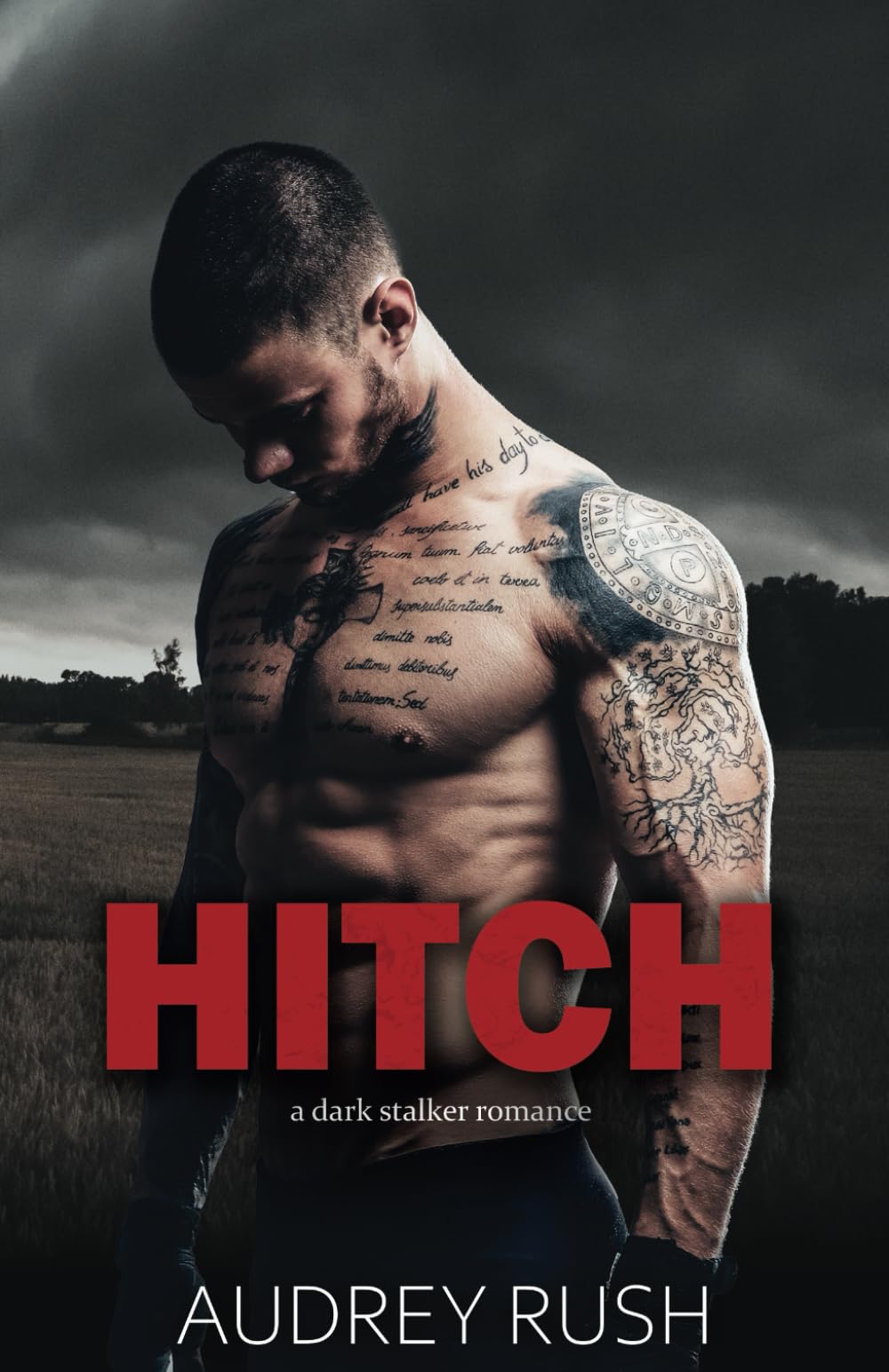 Amazon.com: Hitch: A Dark Stalker Romance: 9798358367067: Rush, Audrey ...