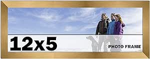 Amazon.com - CountryArtHouse 12x5 Frame Gold Bronze Modern Solid Wood ...