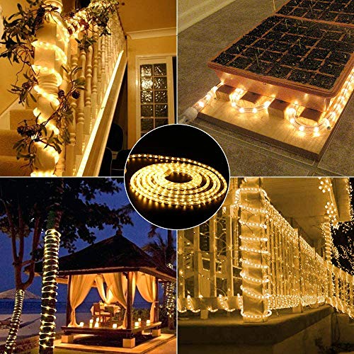 The 30 Best Rope Lights for Christmas of 2024 [Verified] - Cherry Picks