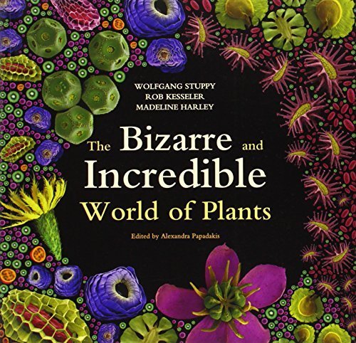 Amazon.com: The Bizarre and Incredible World of Plants by Wolfgang ...