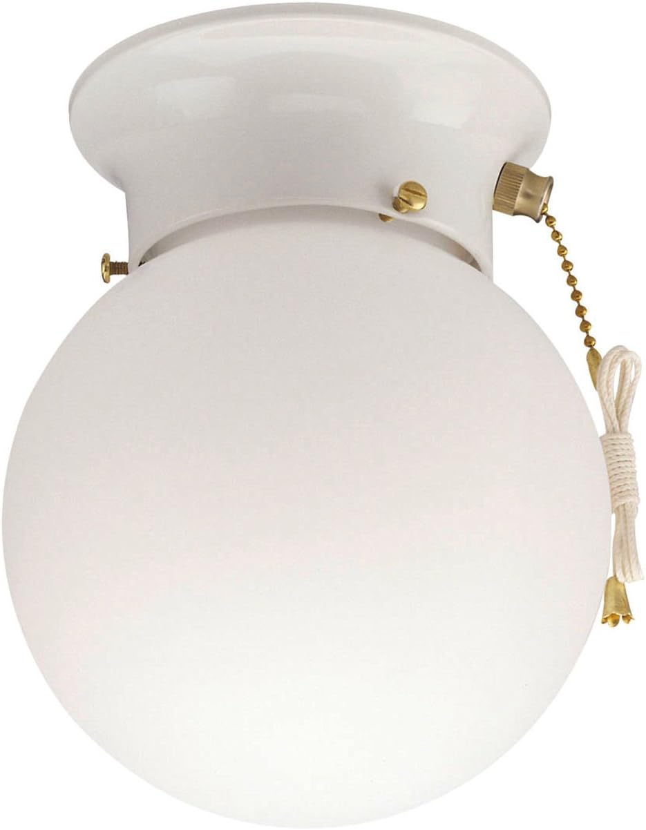 Progress Lighting P3605-30 Ceiling Fixture with White Glass Globe ...