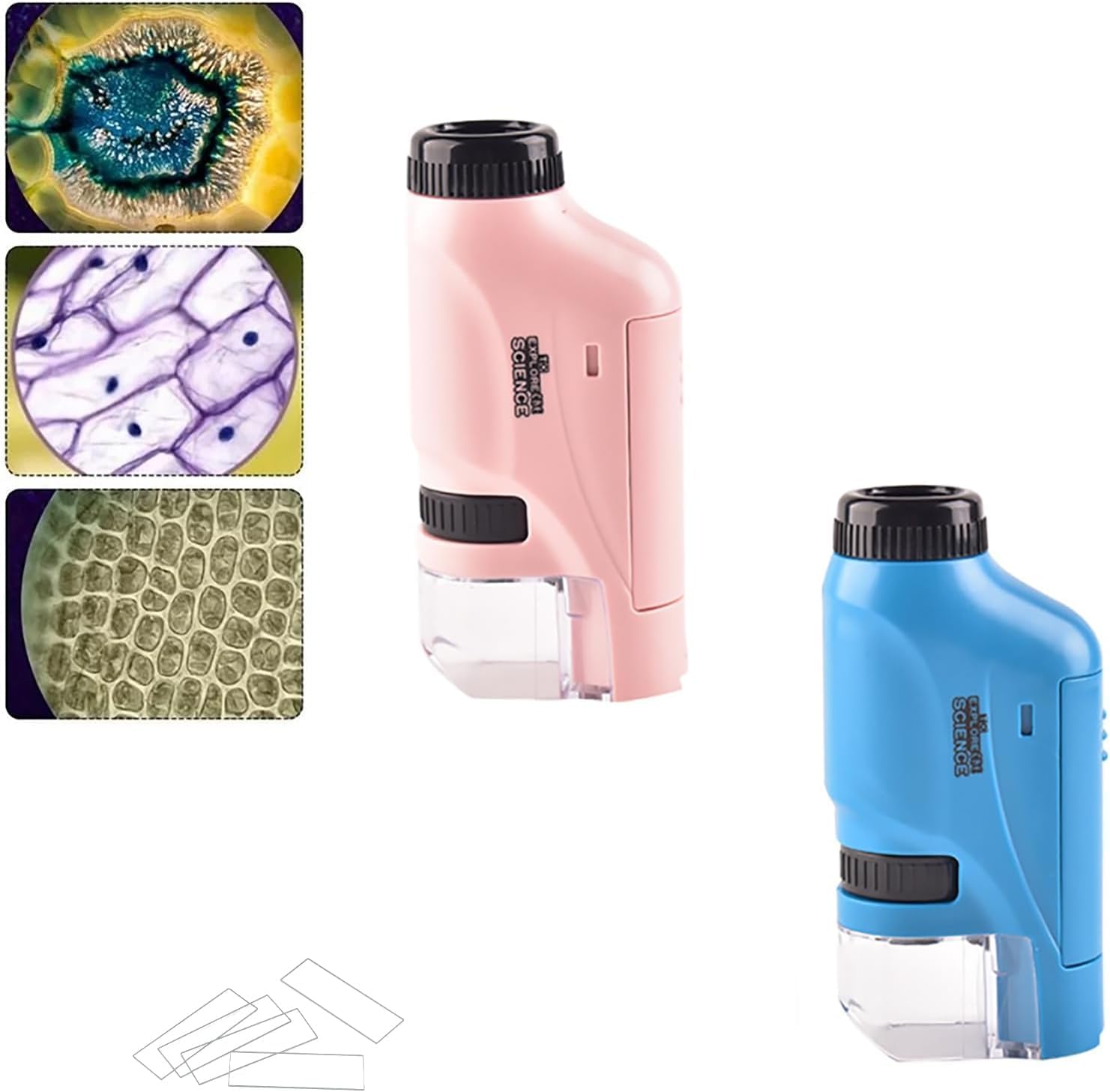 Amazon.com : Pocket Microscope for Kids, New Mini Scope Portable ...