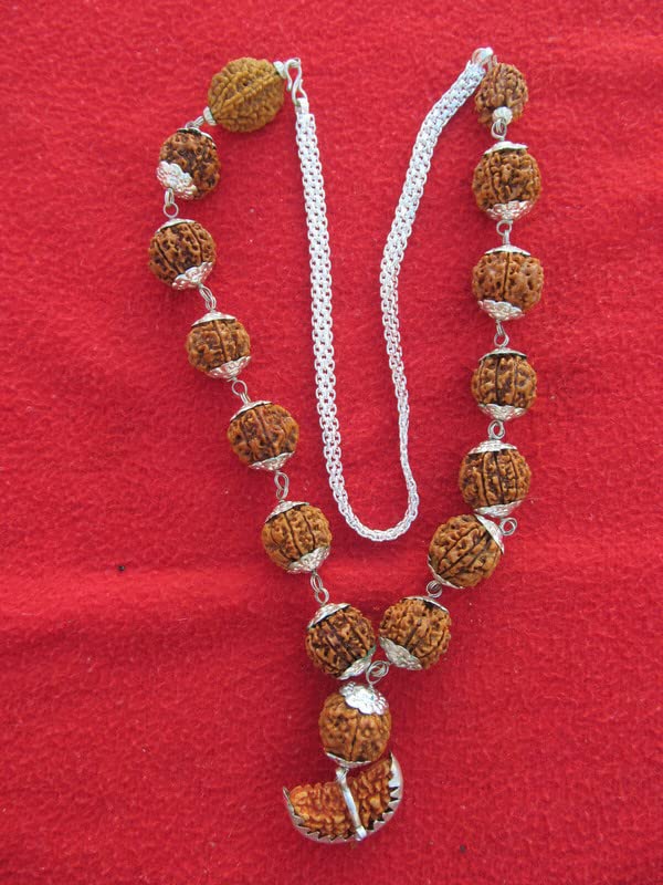 Galaxy Gems Sarva Siddha Lab Certified Rudraksha Nepali Siddhi Mala 1 ...