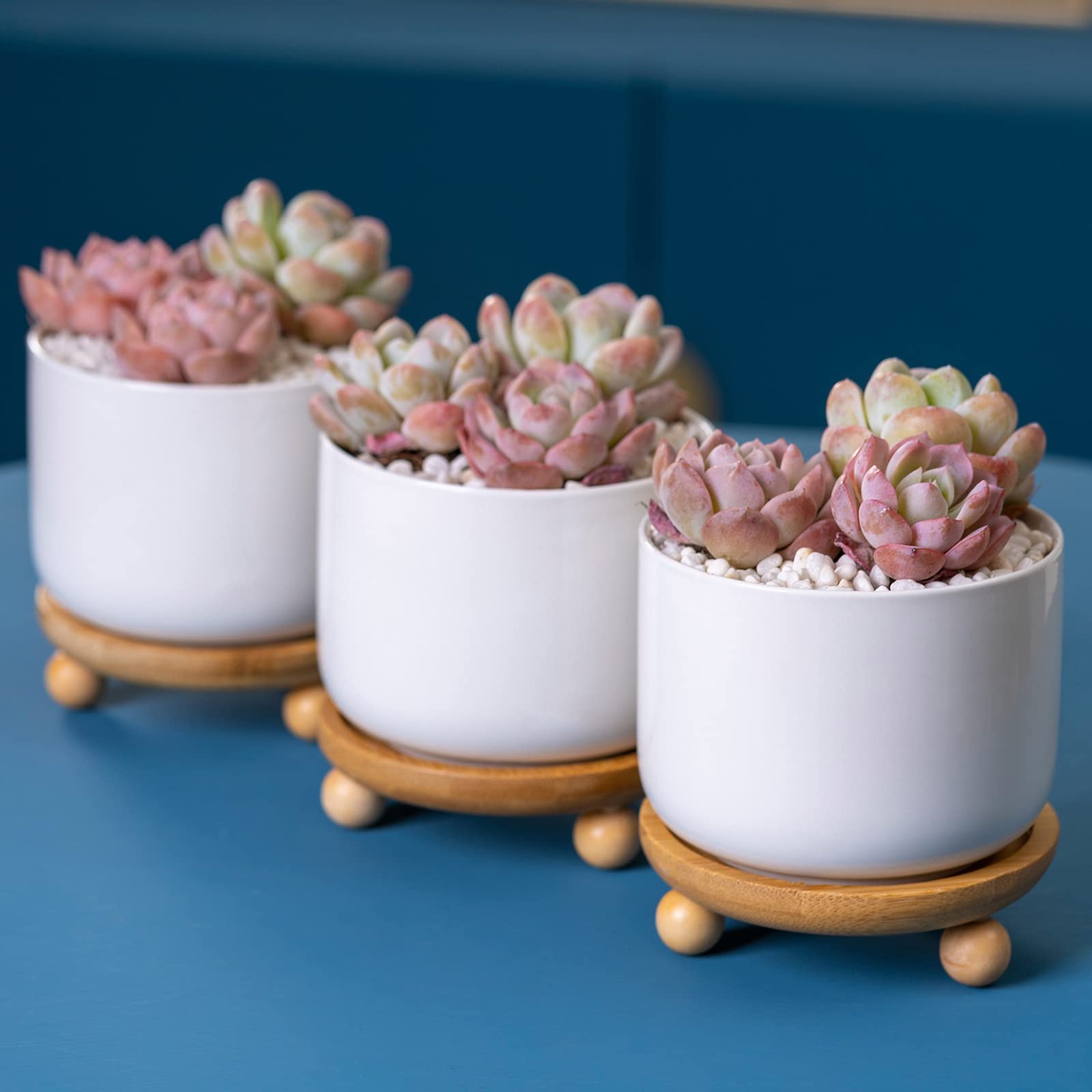 planter | Nellis Auction