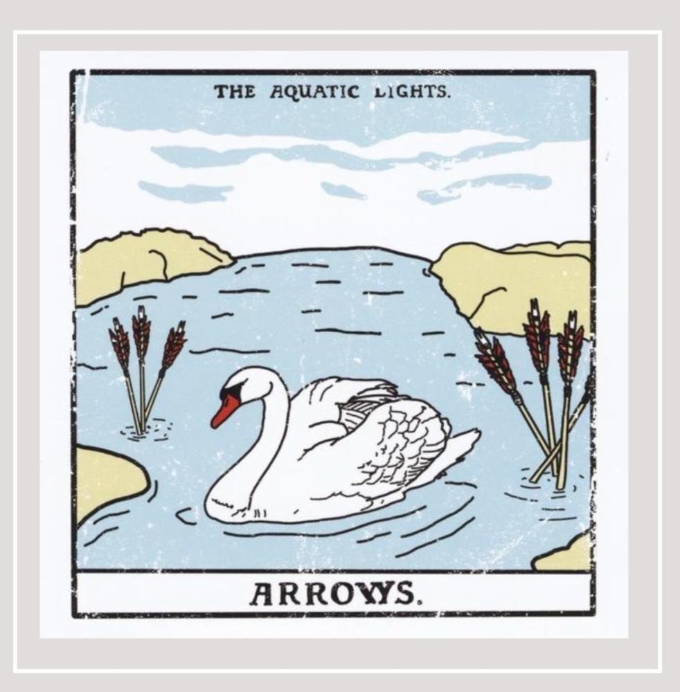 Amazon.com: Arrows: CDs & Vinyl