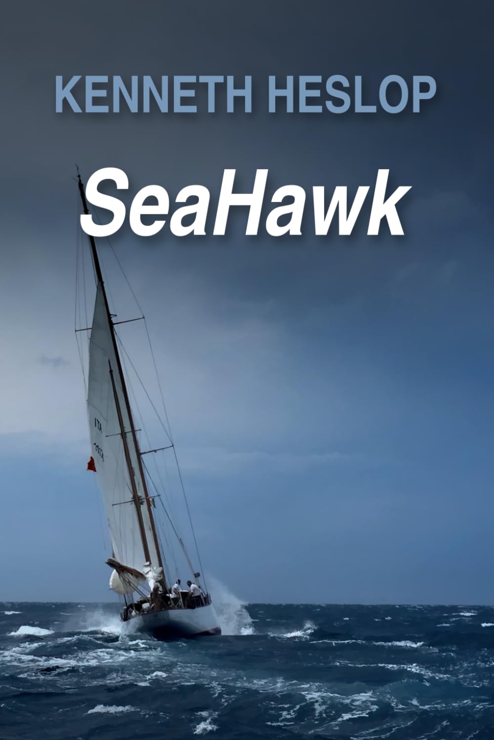SeaHawk: Heslop, Kenneth: 9781777716721: Amazon.com: Books