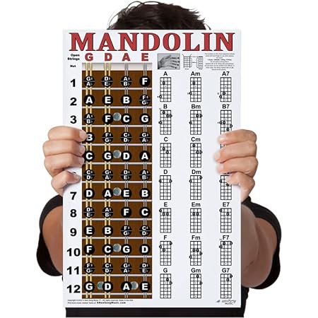 Amazon.com: Laminated Mandolin Fretboard Notes & Easy Beginner Chord ...