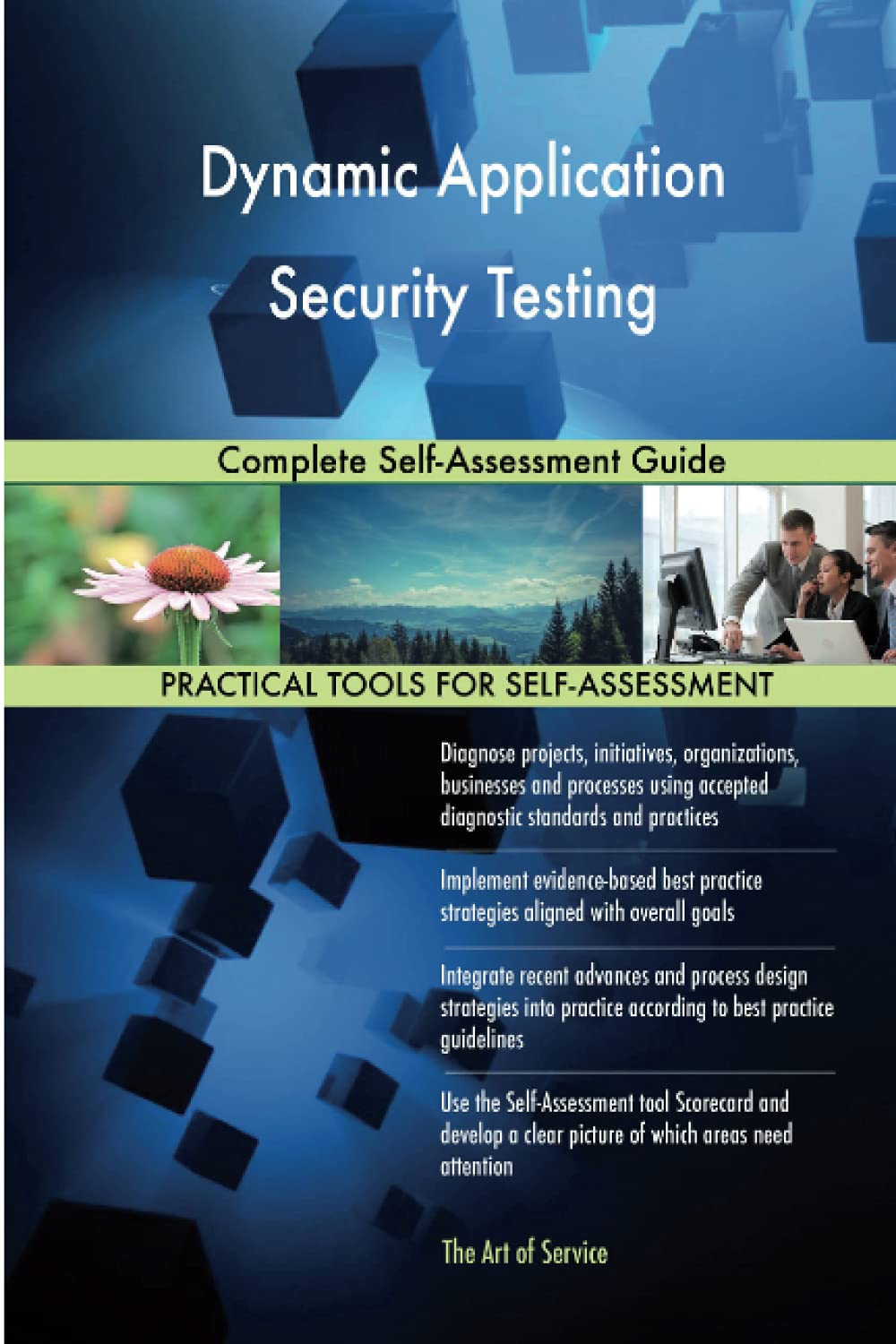 Amazon.com: Dynamic Application Security Testing Complete Self ...