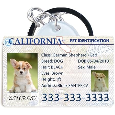 Amazon.com: Little Mermaid Max Pet Id Dog Tag Personalized for Your Pet ...