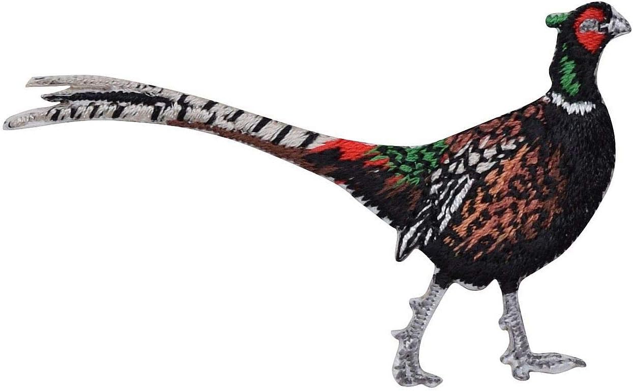 Amazon.com: Ring Necked Pheasant - Walking Right - Embroidered Iron on ...