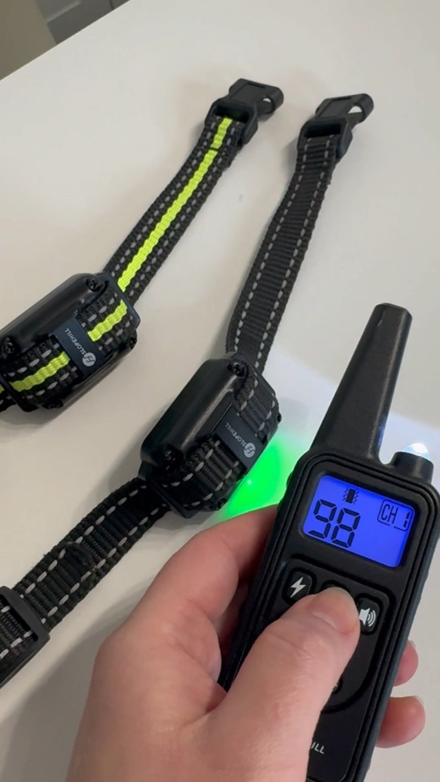 Watch Dual dog training collars - see them on my dogs! on Amazon Live