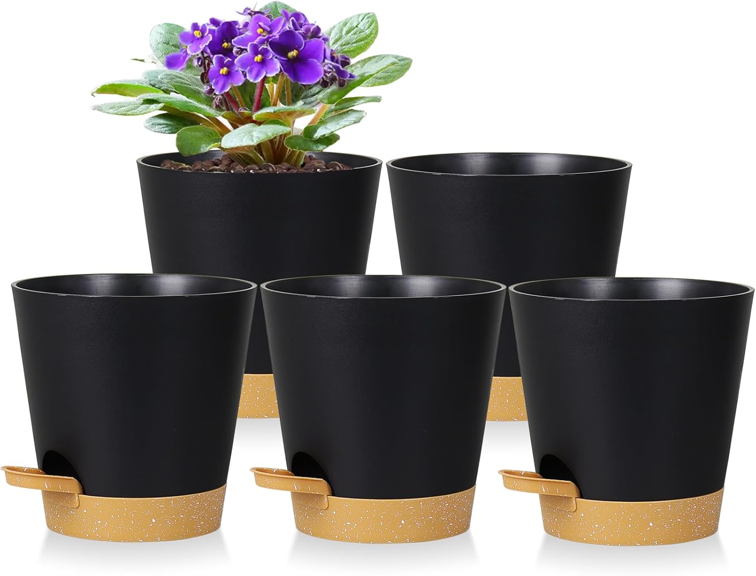 Amazon.com: zople 5 Pack 5 inch Self-Watering Pots, African Violets ...