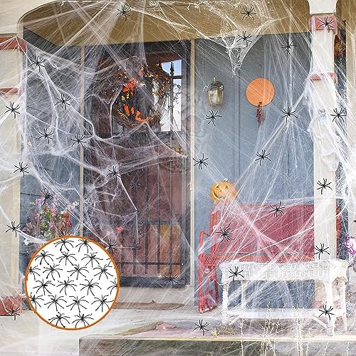 HOTSAN Decorazioni di Halloween di ragnatele estensibili - Ragnatela ...