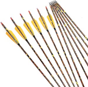 Amazon.com: 12pc 30-Inch 500-Spine Arrow Removable Tips Targeting ...