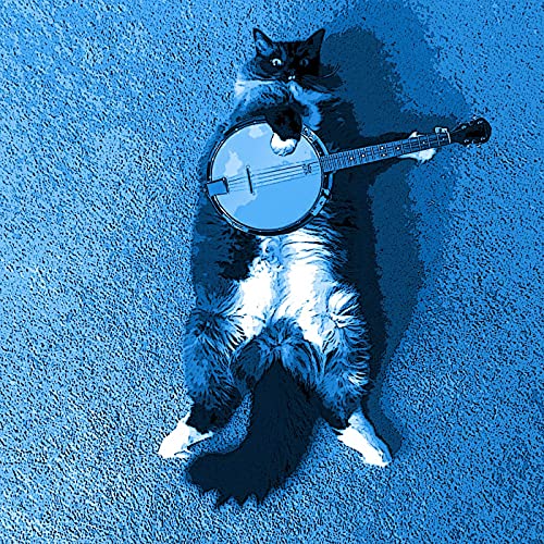 Amazon.com: Songs in the Key of Banjo : Banjo Cat: Digital Music