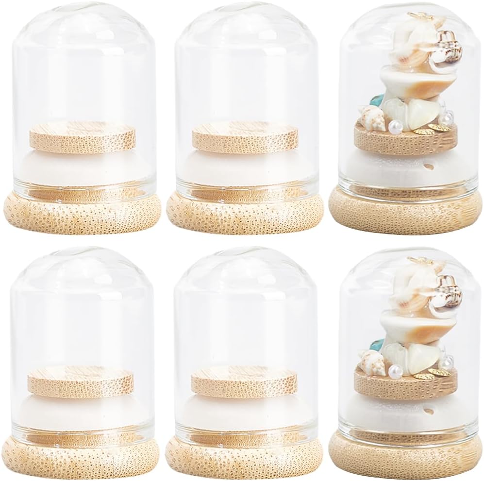 SUNNYCLUE 10 Mini Glass Dome Jars 30 x 40 mm with Bamboo Base, Clear ...