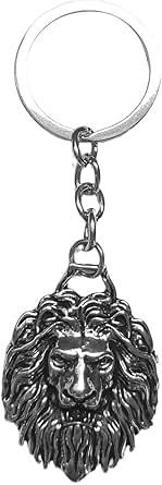 CZMZHFC 1 PCS Unique Lion Keychain Accessories for Car Key Ring ...