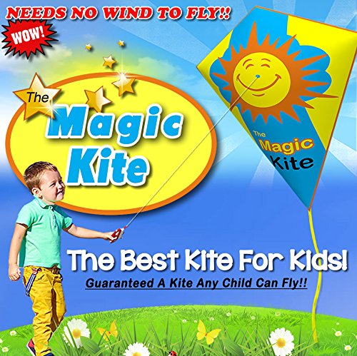 The Magic Kite: Daniel, Kira, Getchell, Marianne Smith: 9780816706143 ...