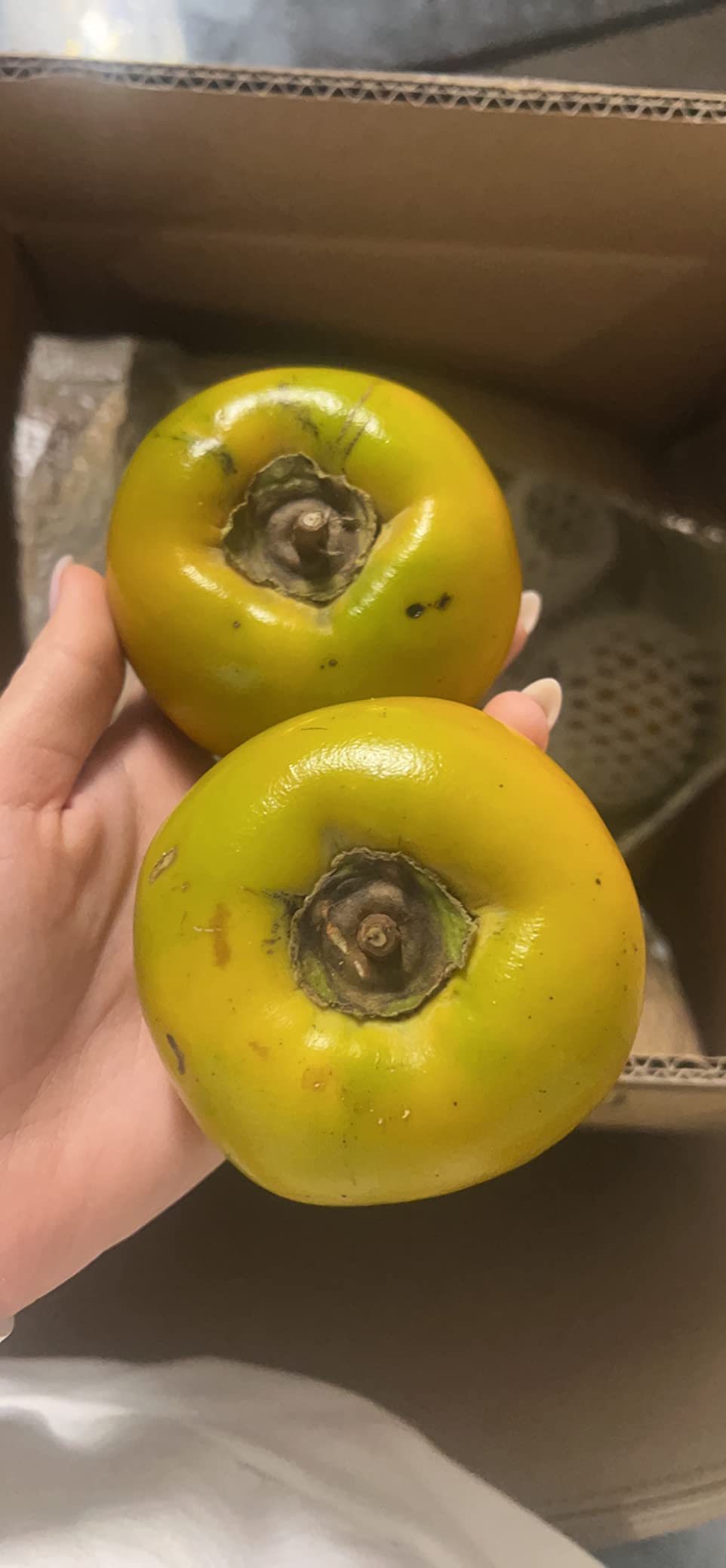 Sharon Fruit 2 Units x 10 pack : Amazon.co.uk: Grocery