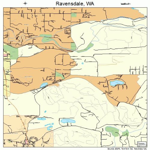 Amazon.com: Large Street & Road Map of Ravensdale, Washington WA ...