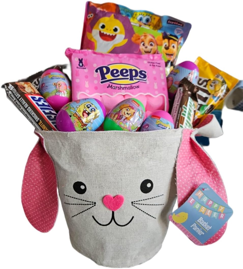 Amazon.com : Easter Gift Basket for Kids, 14 Nickelodeon Candy Filled ...