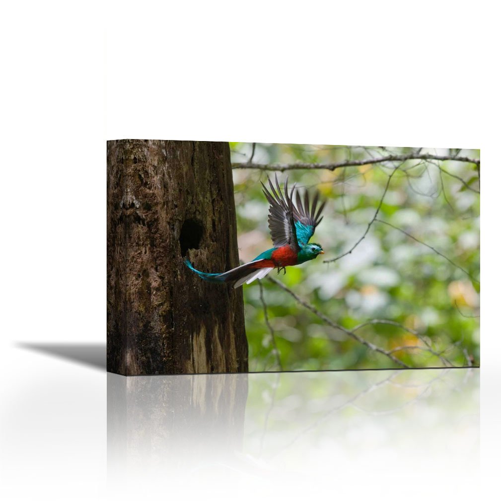 Quetzal Flying Painting Quetzal Tim Hayward As Art Print Or Hand