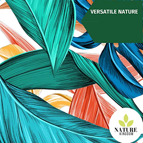 Amazon.com: Versatile Nature : Nature Field Recordings, Nature ...