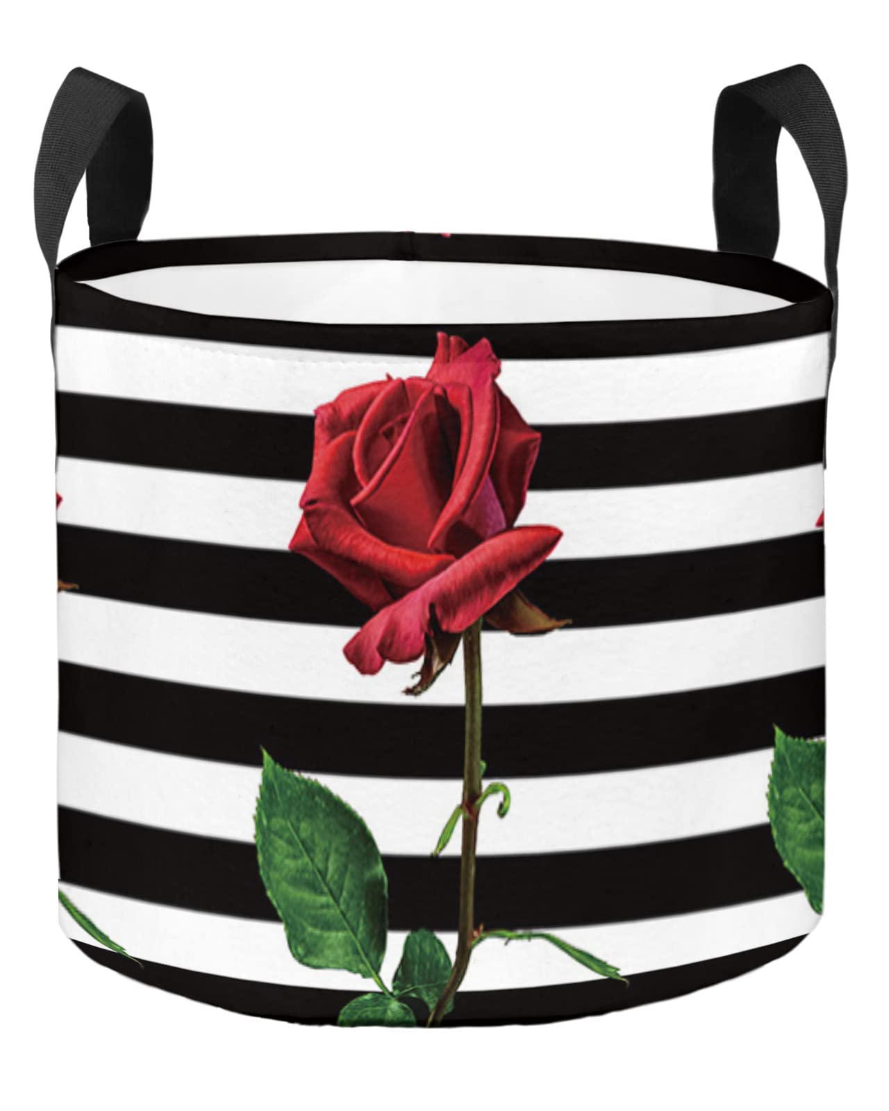 Flower Pots With Red Roses