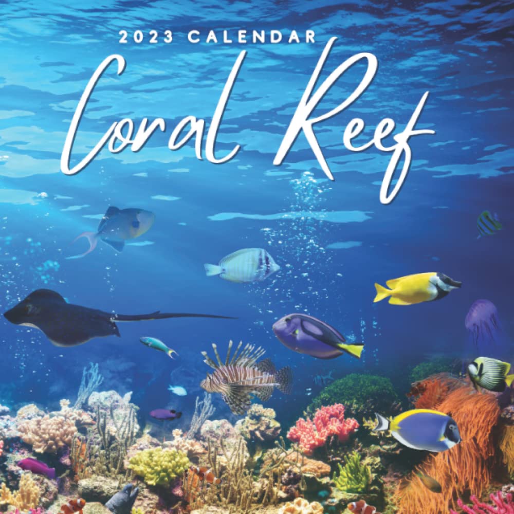 Coral Reef Calendar 2023: Beautiful 18-month 2023 Calendar - Gift for ...