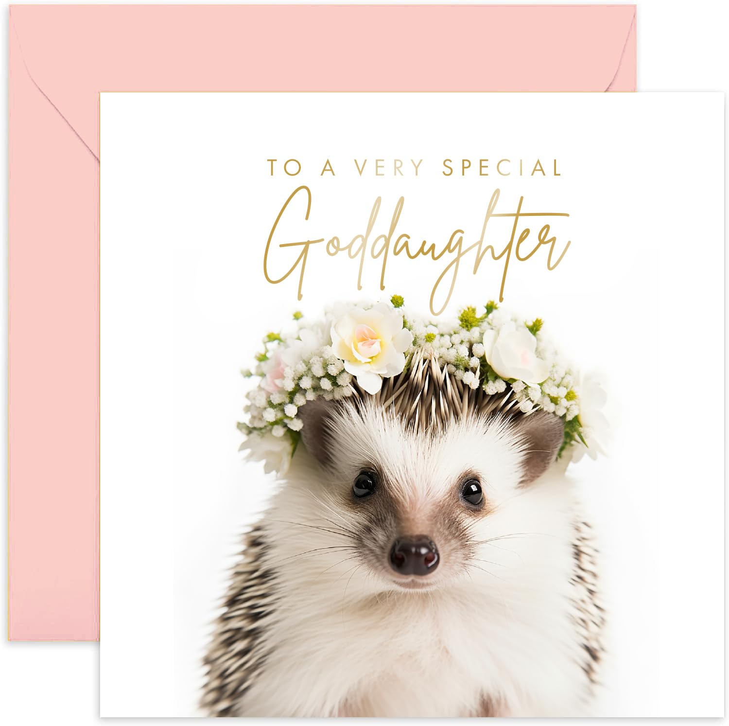 Amazon.com : Old English Co. Hedgehog Very Special Goddaughter Card ...