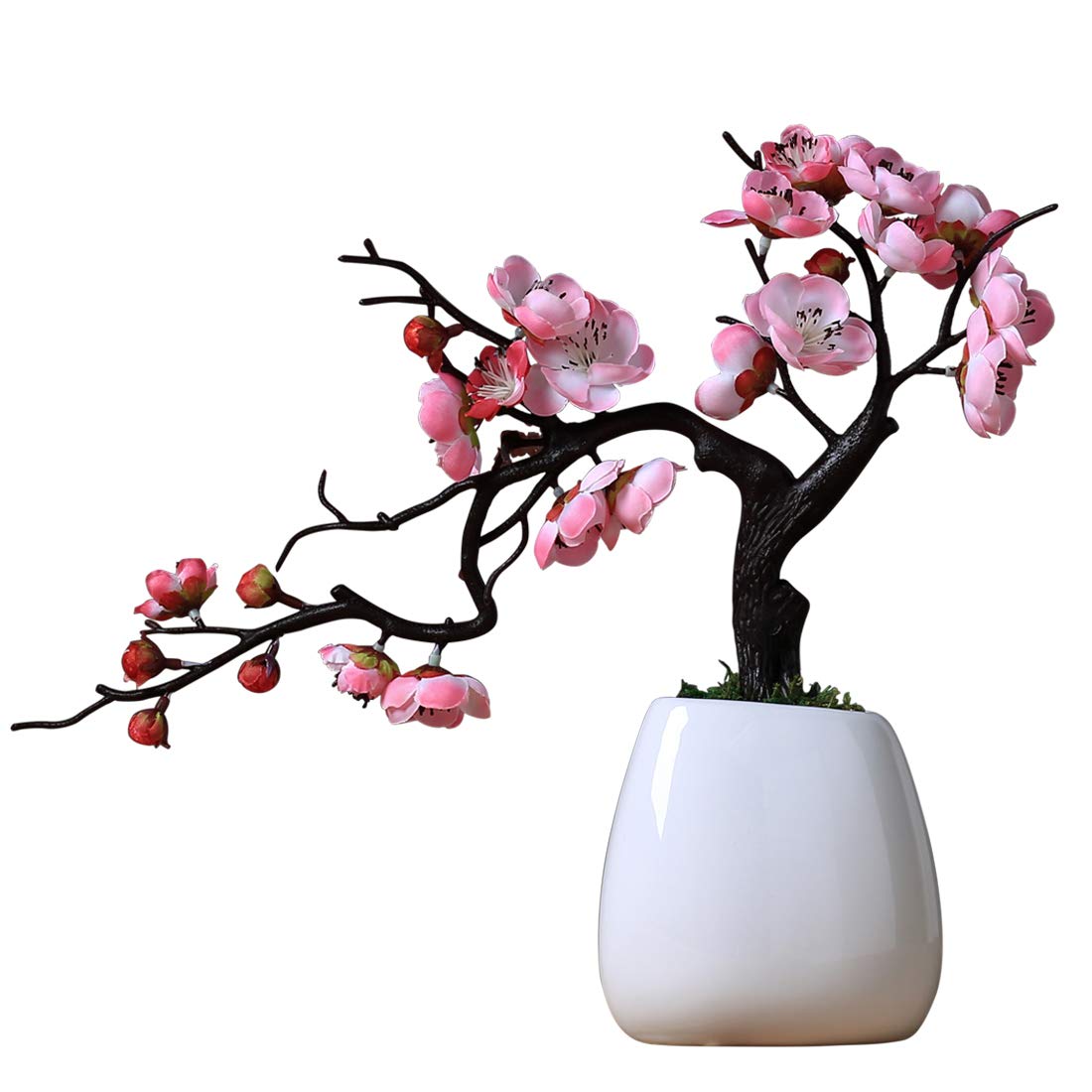 Real Chinese Flowers