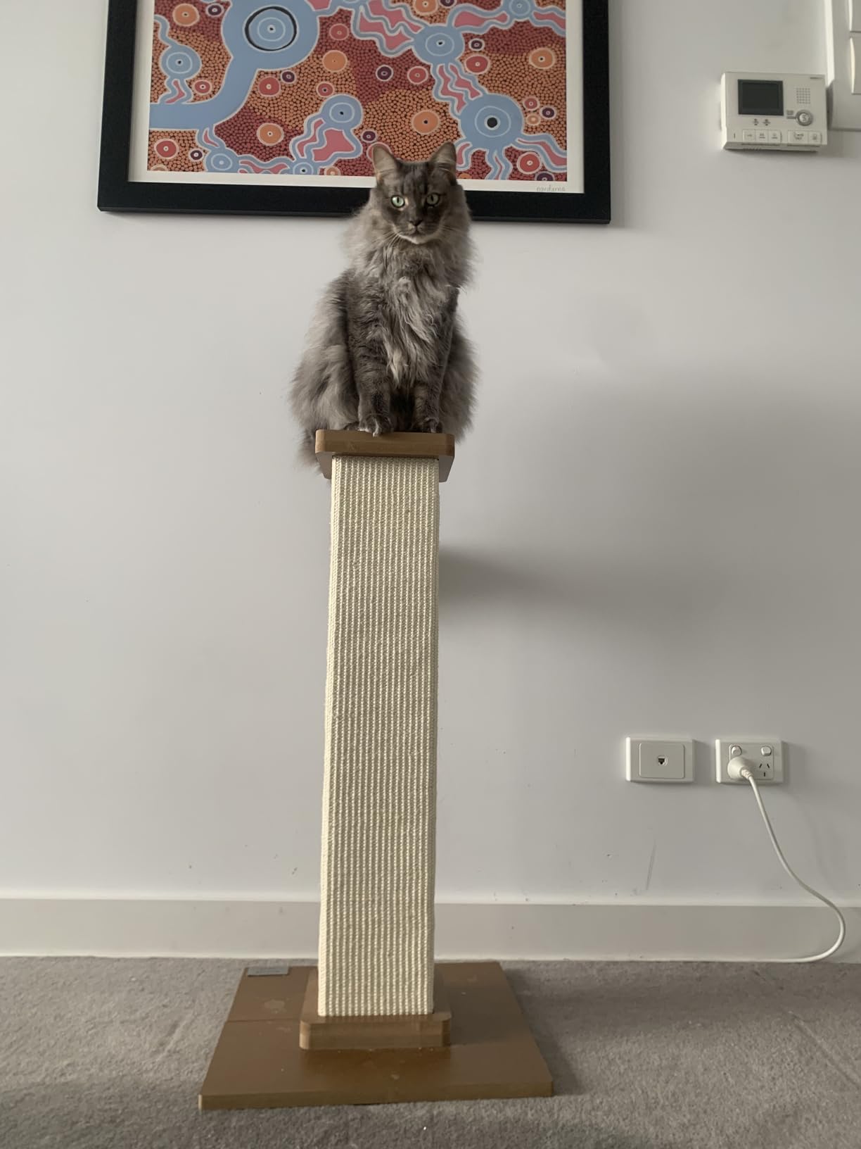 AUSSIE FURBABY Cat Scratching Post - 81cm Scratch Post Cat Tower, Cat ...