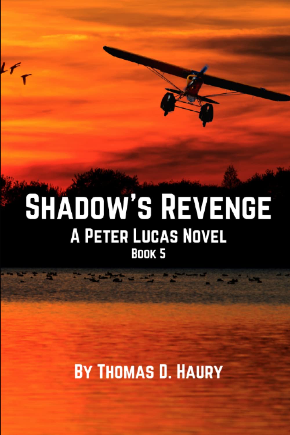 Amazon.com: Shadow's Revenge: A Peter Lucas Novel: 9798366948357: Haury, Thomas D.: Books