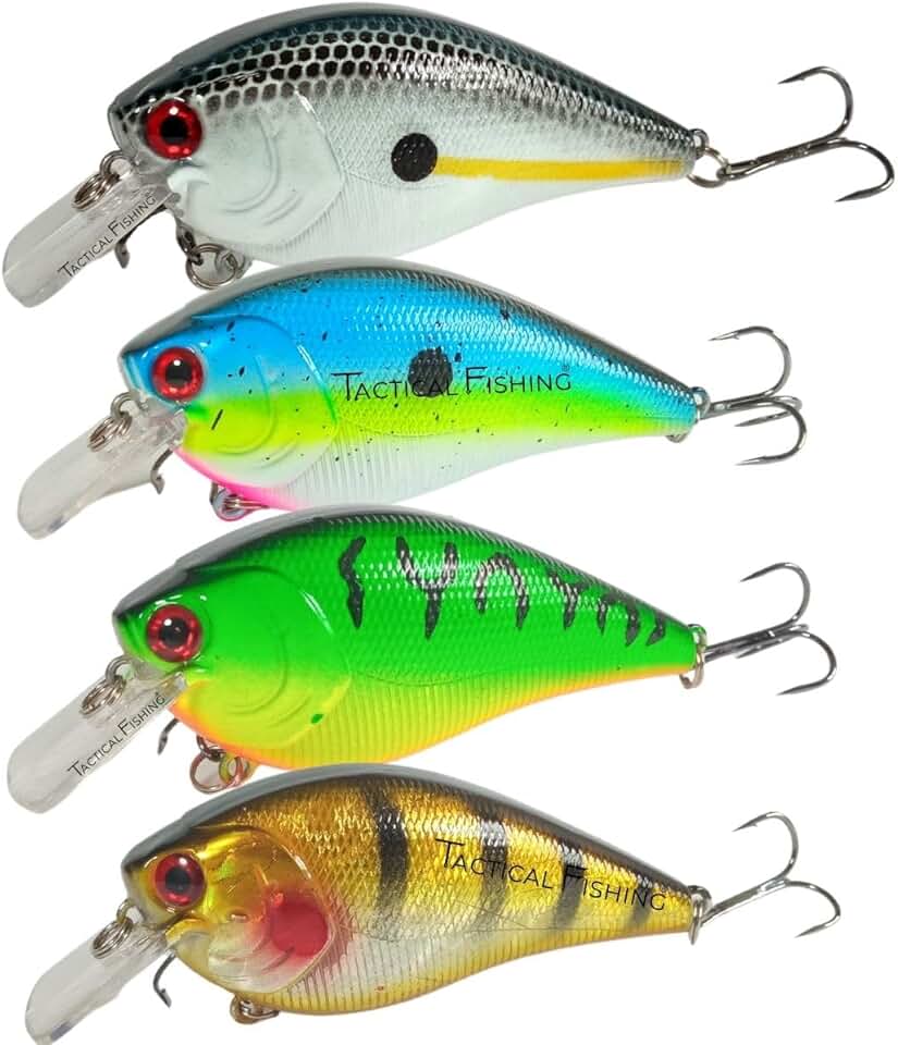 Amazon.com.mx: Curricanes