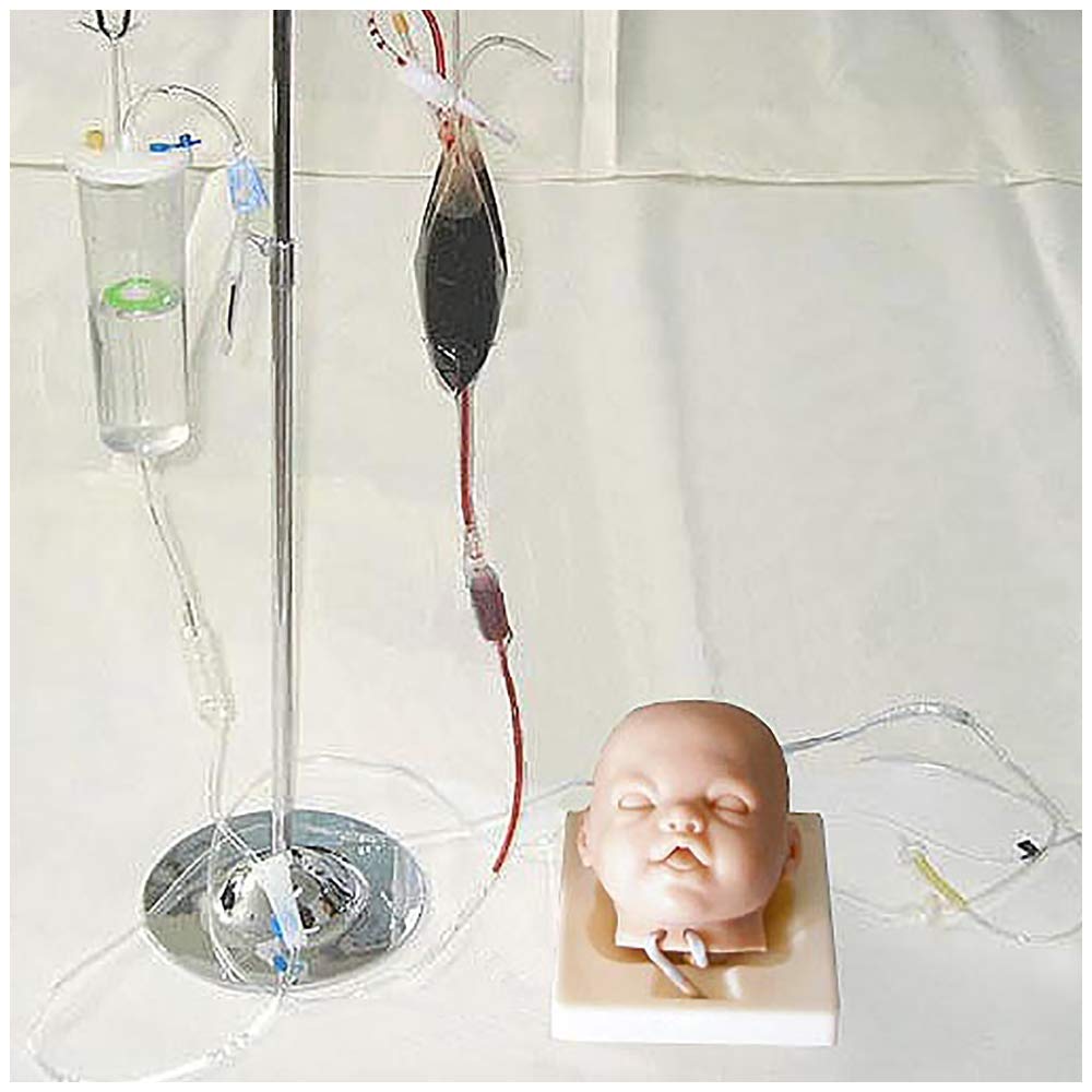Fxq Iv Practice Model Baby Infusion Model Phlebotomy And Venipuncture ...