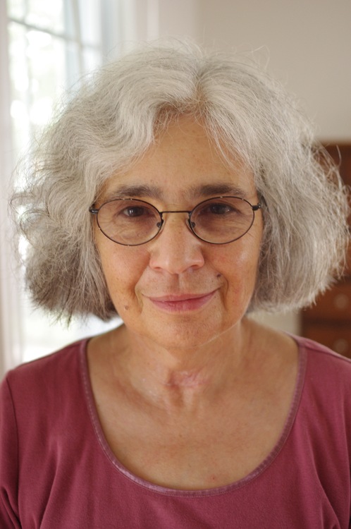 Amazon.com: Alice Mattison: books, biography, latest update