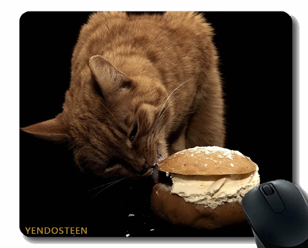 Cat Eating Computer Mouse